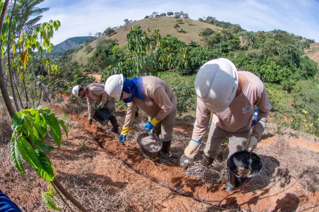 Samarco Dá Continuidade às Ações Ambientais Na Bacia Do Rio Doce E ...