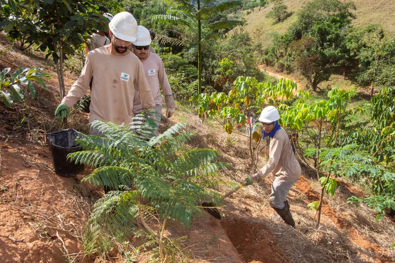 Samarco Dá Continuidade às Ações Ambientais Na Bacia Do Rio Doce E ...